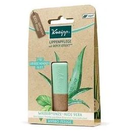 Kneipp Lippenpflege Hydro Wasserminze Aloe Vera 1 ST