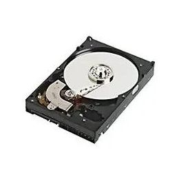 Dell Interne Festplatte F439D 600 GB