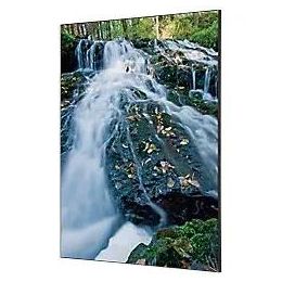SHOWDOWN Textile Wanddekoration Wasserfallwald Mehrfarbig Aluminium