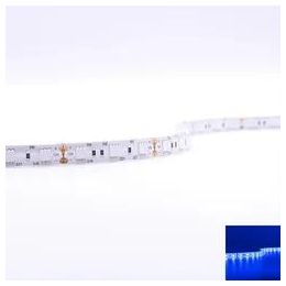Strip 12V 5M 14,4W/m 60LED/m 10mm - Lichtfarbe: Blau - Schutzart: IP65