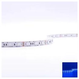 Strip 12V 5M 14,4W/m 60LED/m 10mm - Lichtfarbe: Blau - Schutzart: IP20
