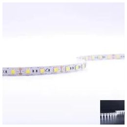 Strip 12V 5M 14,4W/m 60LED/m 10mm - Lichtfarbe: Kaltweiß 6000K - Schutzart: IP20