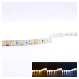 Strip 12V 5M 14,4W/m 60LED/m 10mm - Lichtfarbe: CCT 2700-6500K - Schutzart: IP65