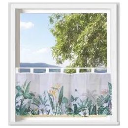 Weckbrodt-Gardinen Scheibengardine WECKBRODT "Strelitzie" Gr. 1, bunt (multi), B:120cm H:45cm, Voile, Polyester, Gardinen, Bistro, Voile, bedruckt, transparent, HxB 45x120cm, Gardine, Store