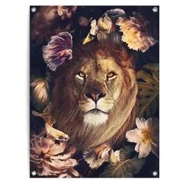 Poster Reinders "Dschungel-Löwe", braun (farbe bild(er): braun), B:60cm H:80cm T:0,1cm, Leinwand, Bilder, Outdoor für Garten oder Balkon
