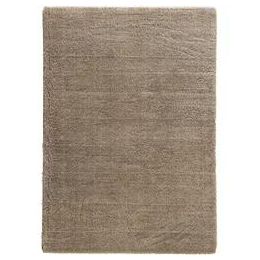Hochflor-Teppich Astra "New Livorno", braun, B:80cm H:30mm L:150cm, Kunstfaser, Teppiche, Kurzflor, Wohnzimmer
