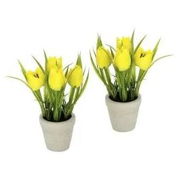 Kunstblume I.GE.A. "Tulpe", gelb, B:10cm H:19cm L:10cm, Kunstpflanzen, Im Keramiktopf, 2er Set