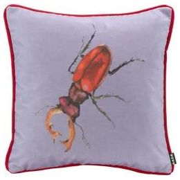 HOCK Dekokissen H.O.C.K. "Hirschkäfer", bunt (bunt, bedruckt), B:45cm H:10cm L:45cm, Polyacryl (dralon), Dekokissen_Sitzkissen_Kissenhüllen, changierender Samt, Kissenhülle mit Füllung, 1 Stück