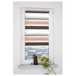 Doppelrollo Liedeco "dreifarbig" Gr. 2, braun (braun, beige), B:60cm H:160cm, Polyester, Rollos