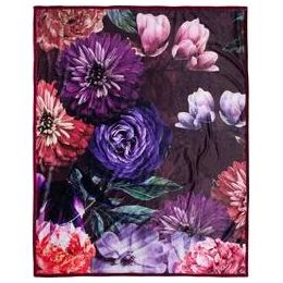 Plaid Descanso "Bloomie", rot (bordeaux), B:130cm L:160cm, Kunstfaser, Polyester, Softvelour, Wohndecken, Sehr Weich, Kuscheldecke, Wohndecke, 130x160 cm, Wendeoptik, Blumen