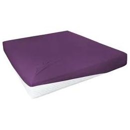 Spannbettlaken Primera "Elasthan-Feinjersey", lila (violett), 1 Stk., Jersey-Elasthan, 140-160x200-220 30, Jersey-Elasthan, Obermaterial: 95% Baumwolle, 5% Elasthan, Bettlaken, PREMIUM, aus 95% gekämmter Baumwolle und 5% Elasthan, bis 28 cm Höhe