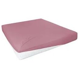 Spannbettlaken Primera "Elasthan-Feinjersey", rot (rosenholz), 1 Stk., Jersey-Elasthan, 140-160x200 28, Jersey-Elasthan, Obermaterial: 95% Baumwolle, 5% Elasthan, Bettlaken, PREMIUM, aus 95% gekämmter Baumwolle und 5% Elasthan, bis 28 cm Höhe