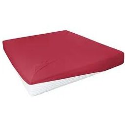Spannbettlaken Primera "Elasthan-Feinjersey", rot, 1 Stk., Jersey-Elasthan, 90-100x200-220 30, Jersey-Elasthan, Obermaterial: 95% Baumwolle, 5% Elasthan, Bettlaken, PREMIUM, aus 95% gekämmter Baumwolle und 5% Elasthan, bis 28 cm Höhe