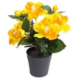 Kunstblume BOTANIC-HAUS "Hibiskus im Topf", gelb, B:20cm H:27cm T:20cm Ø:20cm, Kunststoff, Kunstpflanzen