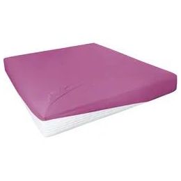 Spannbettlaken Primera "Elasthan-Feinjersey", lila (flieder), 1 Stk., Jersey-Elasthan, 180-200x200-220 30, Jersey-Elasthan, Obermaterial: 95% Baumwolle, 5% Elasthan, Bettlaken, PREMIUM, aus 95% gekämmter Baumwolle und 5% Elasthan, bis 28 cm Höhe