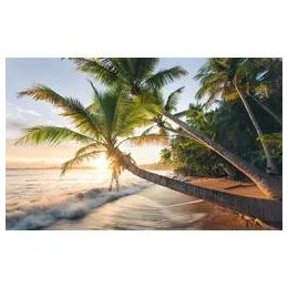 Vliestapete Komar "Digitaldruck Vlies - Strandgeheimnis - Größe 450 x 280 cm", bunt, B:450m L:280m, Vlies, Tapeten, Wohnzimmer, Schlafzimmer