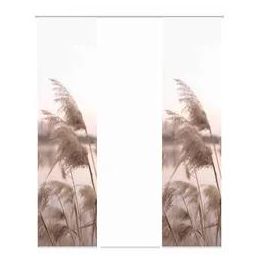 Schiebegardine Home Wohnideen "TRAWY" Gr. 1, beige (natur), B:60cm H:245cm, Polyester, Gardinen, Schiebevorhang Digi 3er Set TRAWY