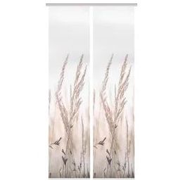 Schiebegardine Vision S "RELVA", beige (natur), B:60cm H:260cm, Polyester, Gardinen, DIGITALDRUCK
