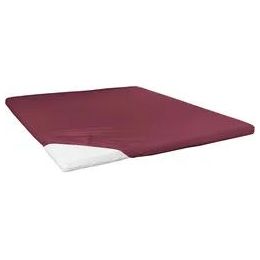 Spannbettlaken Primera "Elasthan-Feinjersey Topper", rot (bordeaux), 1 Stk., Jersey-Elasthan, 180-200x200-220 10, Jersey-Elasthan, Obermaterial: 95% Baumwolle, 5% Elasthan, Bettlaken, Aus 95% gekämmter Baumwolle und 5% Elastan