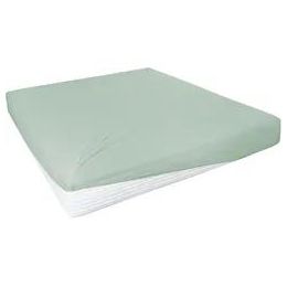 Spannbettlaken Primera "Elasthan-Feinjersey", blau (aquamarin), 1 Stk., Jersey-Elasthan, 140-160x200-220 28, Jersey-Elasthan, Obermaterial: 95% Baumwolle, 5% Elasthan, Bettlaken, PREMIUM, aus 95% gekämmter Baumwolle und 5% Elasthan, bis 28 cm Höhe