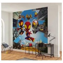Kindertapete Komar "Marvel Spidey and His Amazing Friends Web Spinners", bunt, B:250m H:250m, Vlies, Tapeten