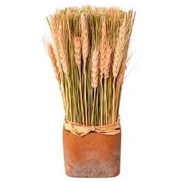Trockenblume CREATIV HOME "Trockenblumen imTopf", rosa, B:10cm H:30cm, Kunstpflanzen