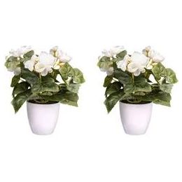Kunstblume Creativ green "Begonienbusch", beige (creme), H:24cm, Obermaterial: 85% Polyester, 15% Polyethylen, Kunstpflanzen