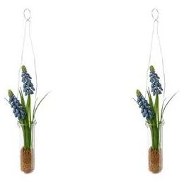 Kunstblume Creativ green "Muscari in Hängevase", lila, B:4cm H:35cm, Kunststoff, Kunstpflanzen