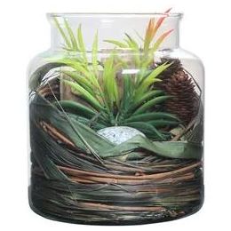 Deko-Glas Kayoom "Dekoglas Flora 810 Natural", beige (natural), B:18cm, Dekobecher, dekorativ, modern, vielseitig kombinierbar