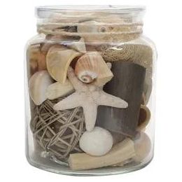 Deko-Glas Kayoom "Dekoglas Flora 610 Natural", beige (natural), B:13,5cm, Dekobecher, dekorativ, modern, vielseitig kombinierbar