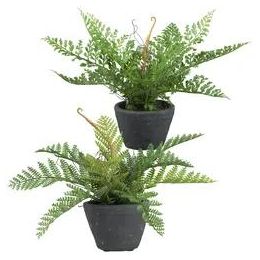 Kunstpflanze Creativ green "Farn", grün, H:24cm, Kunststoff, Kunstpflanzen, mit schönen Farnwedeln