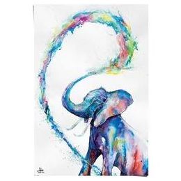 Poster Reinders "Elefant Art", bunt (farbe bild(er): mehrfarbig), B:61cm H:91,5cm, Papier, Bilder