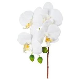 Kunstorchidee Creativ green "Orchidee Phalaenopsis", weiß, H:44cm, Kunstpflanzen, mit real-touch-Blüten