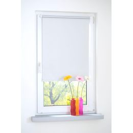 Seitenzugrollo Liedeco Gr. 4, wei&szlig;, B:80cm H:150cm, Polyester, Rollos, Seitenzugrollo