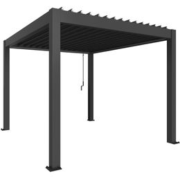 Pergola BioHort "3x3,5 m, verschiedene Farben", grau (dunkelgrau, metallic), B:312cm T:367,5cm, Pergolen, 312x367,5x264 cm, ausgezeichnet mit dem Red Dot Design Award