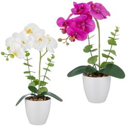 Kunstorchidee Creativ green "Orchidee Phalaenopsis", 2 farben 2, H:40cm, Kunststoff, Kunstpflanzen, mit Eukalyptuszweigen