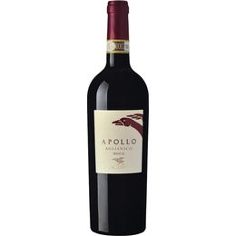 Ocone Apollo del Taburno Aglianico 2021 Trocken - Kampanien – Rotwein DOCG