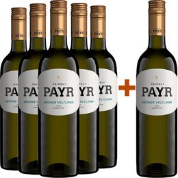 Bio Weingut Robert Payr 5+1 vom L&ouml;ss Carnuntum DAC &Ouml;TW Gebietswein BIO Gr&uuml;ner Veltliner 2024 Trocken - &ndash; Probierpaket Qualit&auml;tswein