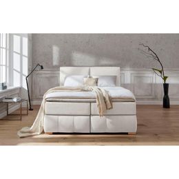 Home Affaire Boxspringbett &raquo;Wehma&laquo; inkl. Topper in 3 verschiedenen Matratzen, auch in Samtstoff natur