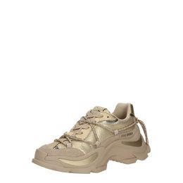 Steve Madden Sneaker 'Z Nation' Damen Gr&ouml;&szlig;e 36 dunkelbeige / gold