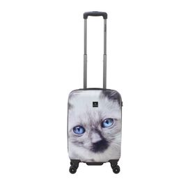 Saxoline Spinner in Cat | Gr.: onesize