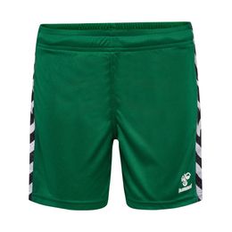 Hummel Kurze Hose Playful Shorts Lebensstil Kinder in EVERGREEN | Gr.: 152