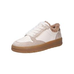 Paul Green Sneaker in beige | Gr.: 38,5