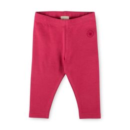Sigikid Leggings Fancy Forest in Pink | Gr.: 62