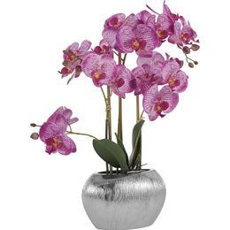 Kunstpflanze Home Affaire "Orchidee", lila, B:20cm H:55cm T:11cm, Keramik, Kunststoff, Polyester, Kunstpflanzen, Kunstorchidee, im Topf