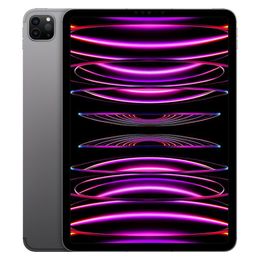 Apple iPad Pro 11" (2022) 4. Generation 2000 GB - WLAN + 5G - Space Grau
