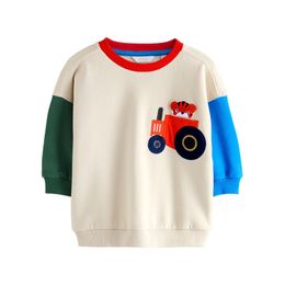 next Sweatshirt Jungen Gr&ouml;&szlig;e 110 ecru / himmelblau / gr&uuml;n / orangerot