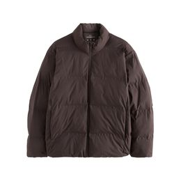 Next Winter Jacket male size L Dark brown