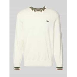 Lacoste Regular Fit Strickpullover aus reiner Baumwolle