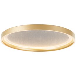 BRILLIANT LEUCHTEN Brilliant Quito Deckenleuchte LED Gold, 1-flammig